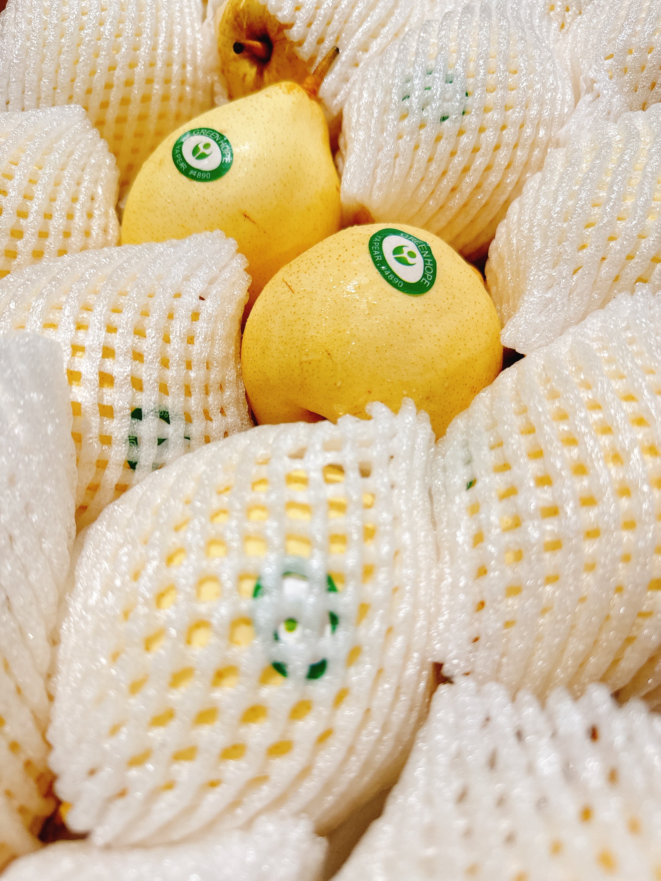 Chinese Ya Pears - Box of 10kg – Umall - Australia's Largest Online ...