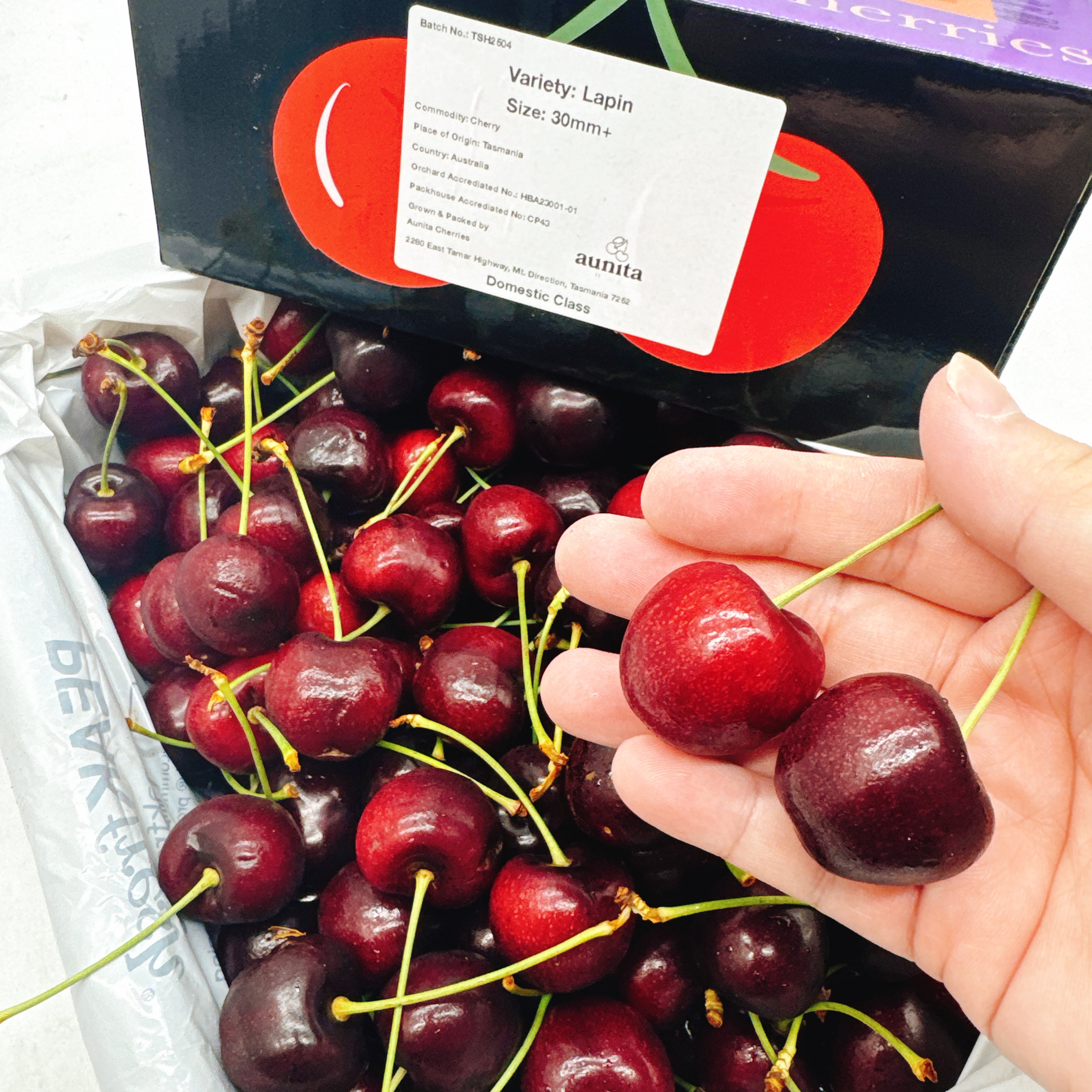 Tasmanian Lapin Cherries Gift Box 30-32mm - 2kg – Umall - Australia's Largest Online Asian ...
