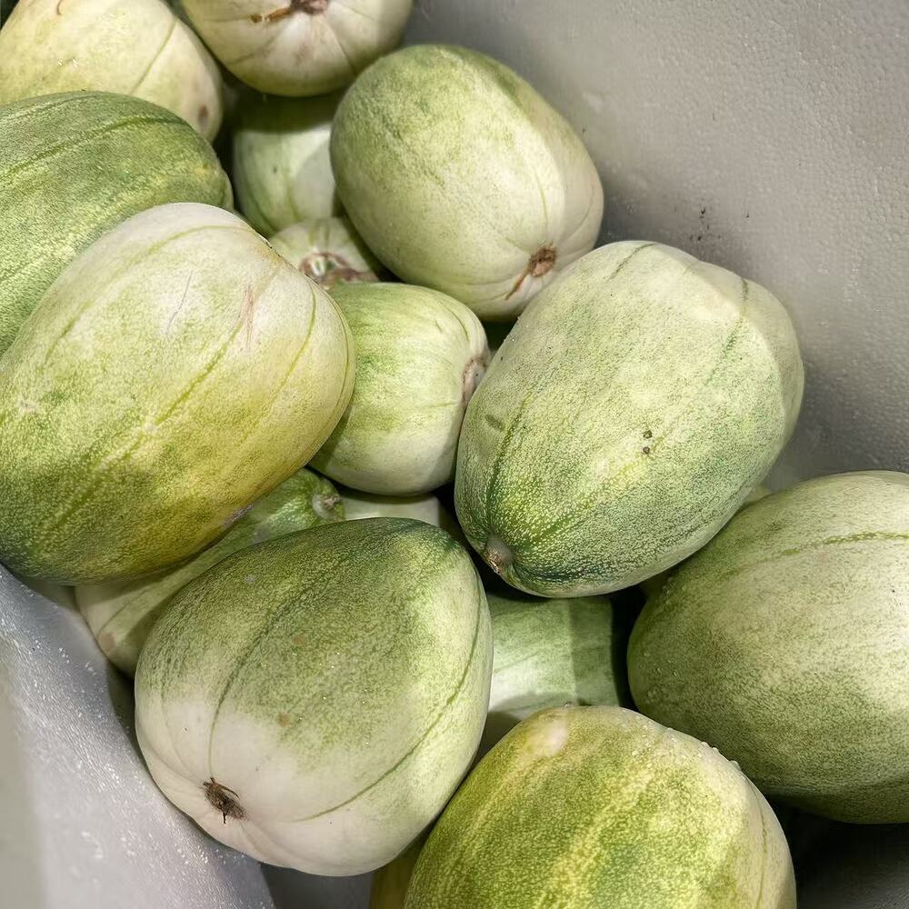 Crisp Sweet Fragrant Melon - 1 Piece (300g) – Umall - Australia's ...