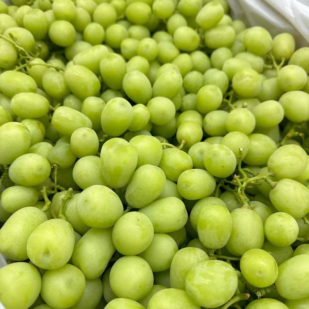 Ivory Green Grapes 1kg – Umall - Australia's Largest Online Asian ...