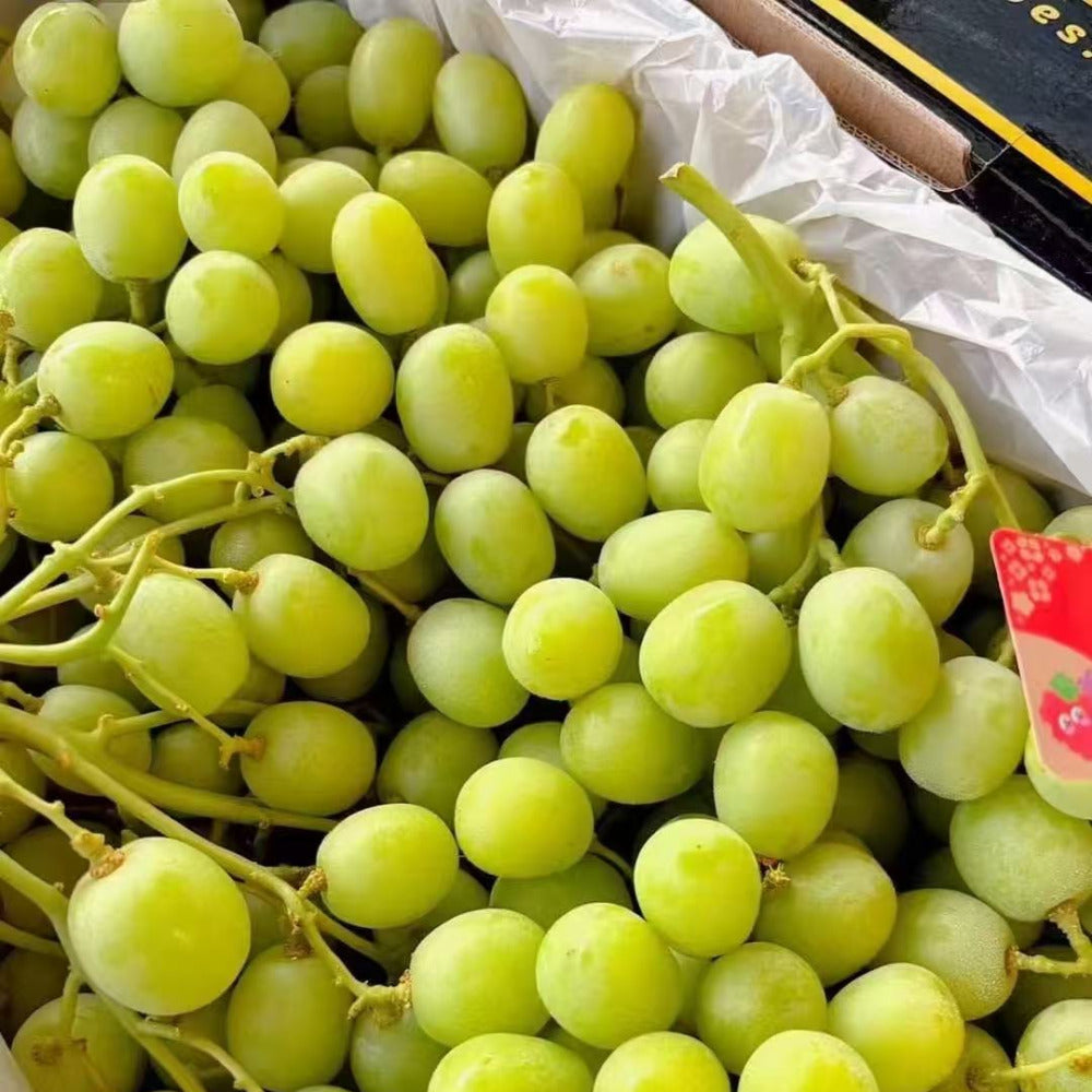 Yummy Sweet Globe Green Grapes 900g – Export Grade, Crisp & Sweet ...