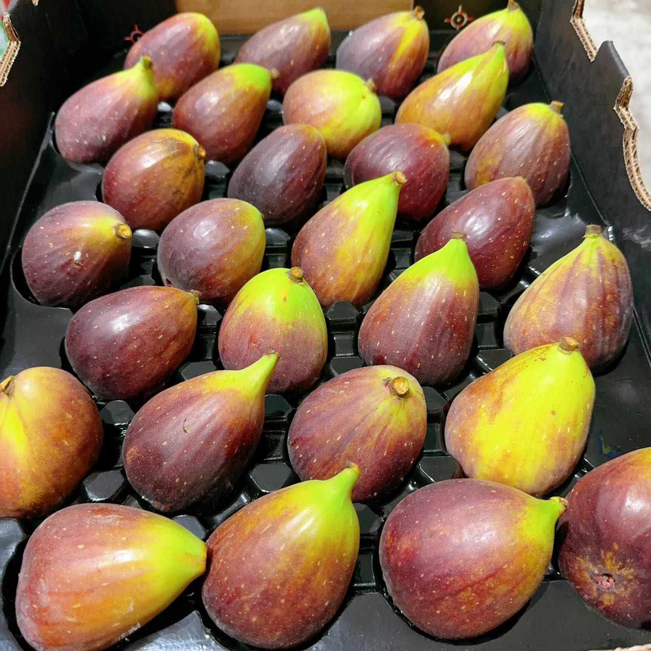 Large Figs - 4 Pieces – Umall - Australia's Largest Online Asian ...