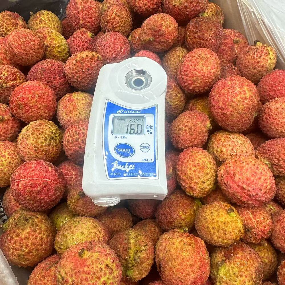 Seedless Lychees 500g – Umall - Australia's Largest Online Asian ...