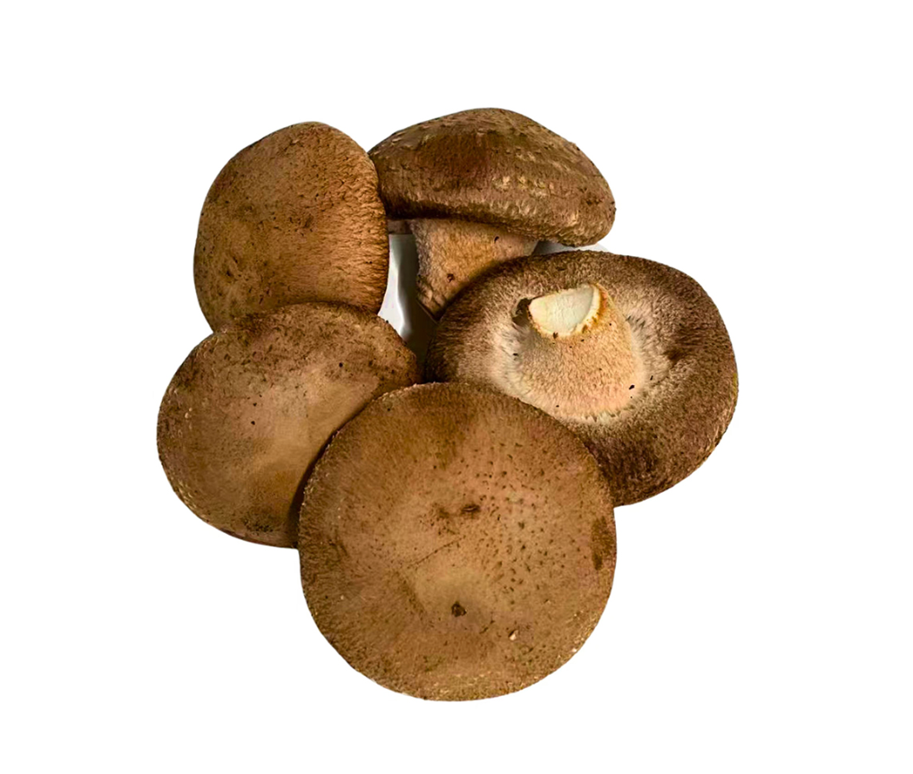Fresh Shiitake Mushrooms 150g – Umall - Australia's Largest Online ...