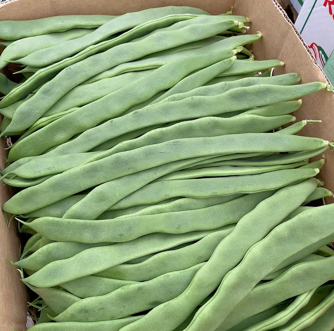 Buy Chinese Flat Beans 500g in Sydney – Umall - Australia's Largest ...
