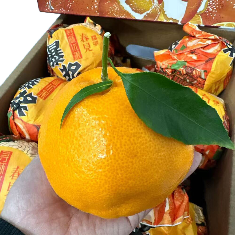 Chun Jian Ponkan Mandarins Gift Box 3.5kg – Air-Freighted from China ...