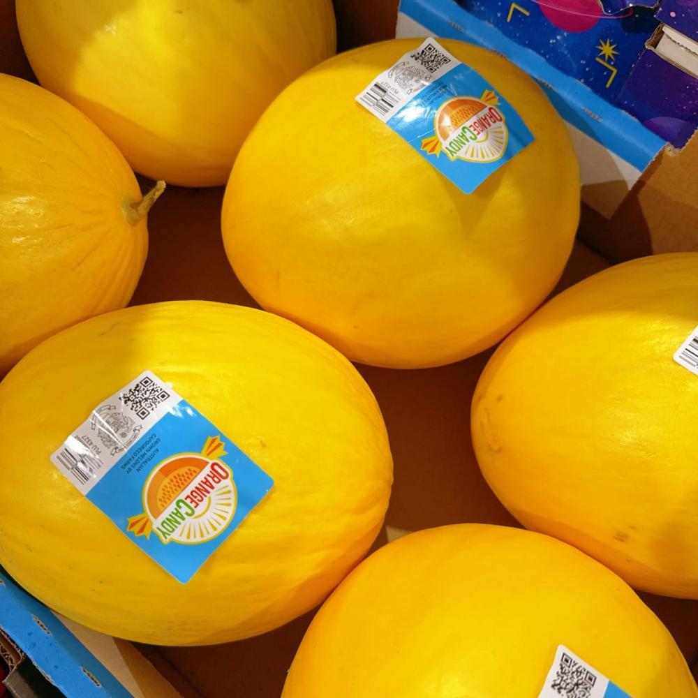 Extra Large Candy Melon - 1 Piece – Umall - Australia's Largest Online ...