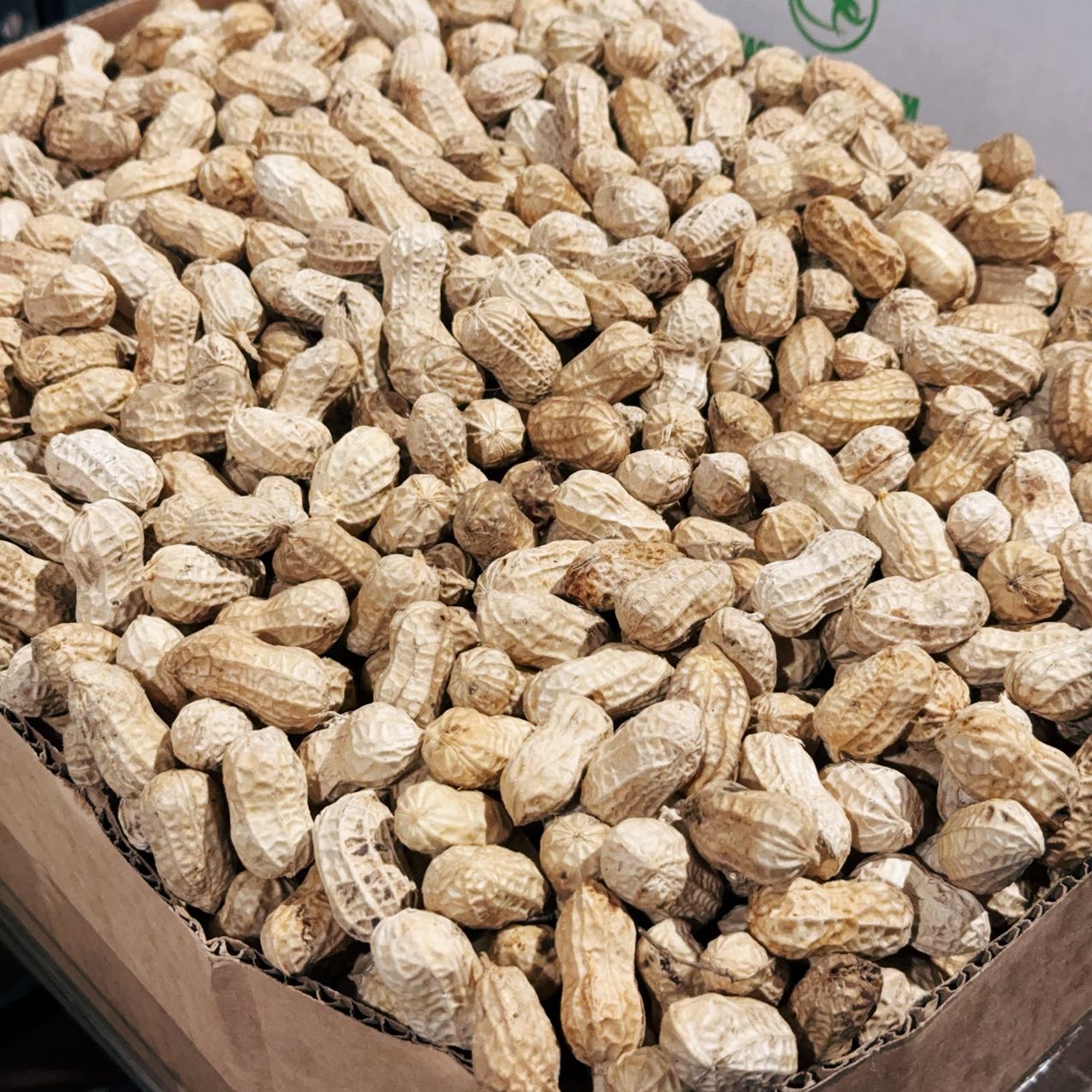 Buy Green Leaf Farm Roasted Peanuts 500g in Sydney – Umall - Australia ...