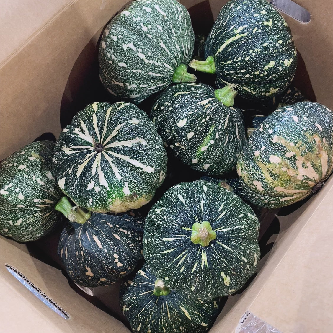 Buy Baby Pumpkin Online in Sydney - 800-1000g – Umall - Australia's ...