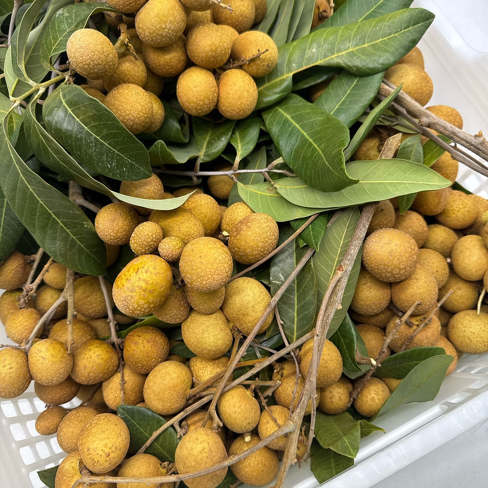 Fresh Longan with Stems - 1kg – Umall - Australia's Largest Online ...