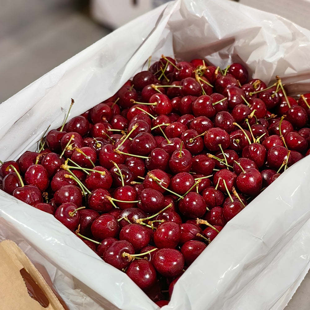 American Red Cherries 9.5r 500g – Umall - Australia's Largest Online Asian Supermarket