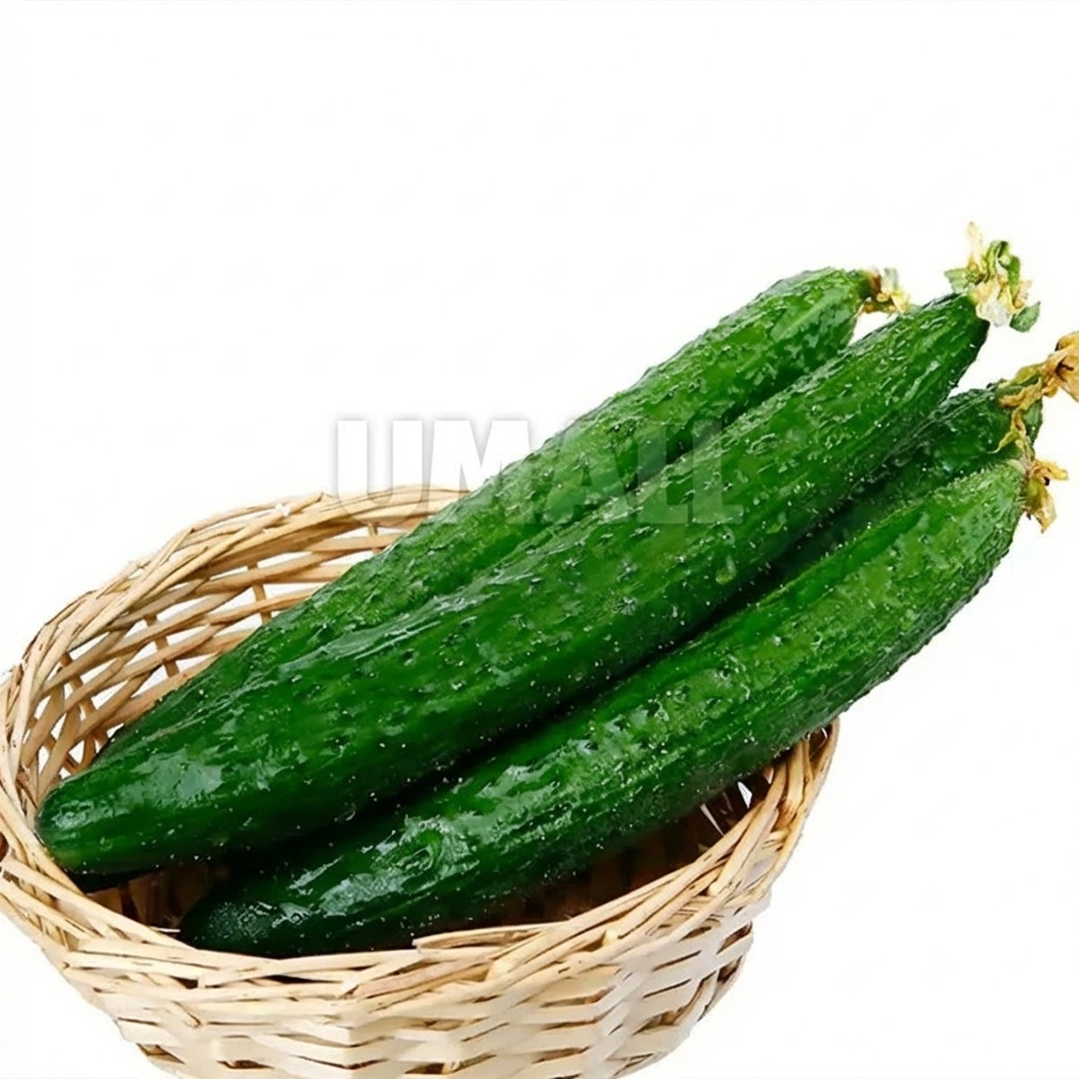 Buy Spiny Cucumber Online in Sydney - 1kg – Umall - Australia's Largest ...